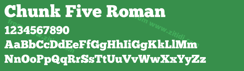 ChunkFive-Roman字体免费下载-ChunkFive-RomanRegular在线预览和转换器-字体帝