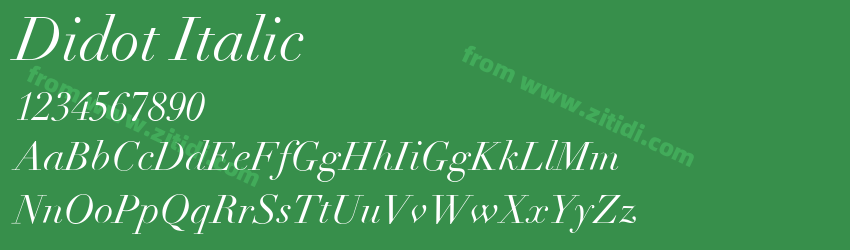 Didot-Italic字体免费下载-Didot-ItalicItalic在线预览和转换器-字体帝
